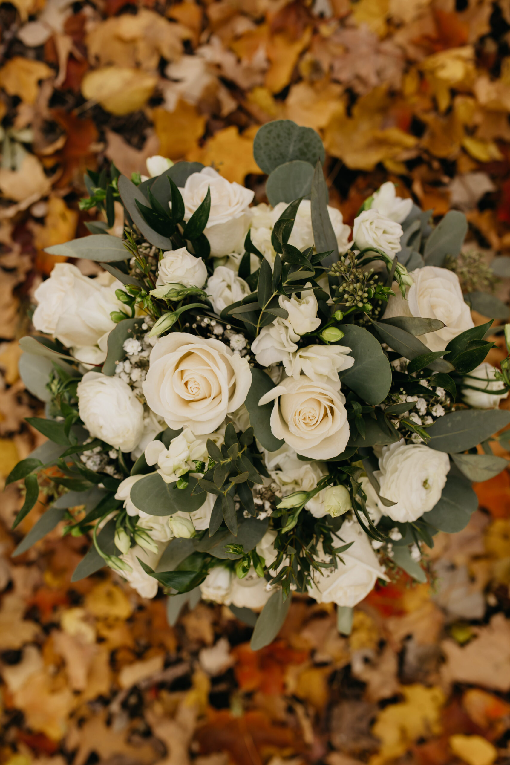 Elizabeth and Trevor's Fall Wedding in Minneapolis, MA